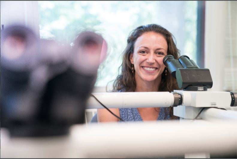 Book A Meeting With Ellie Diagnostics