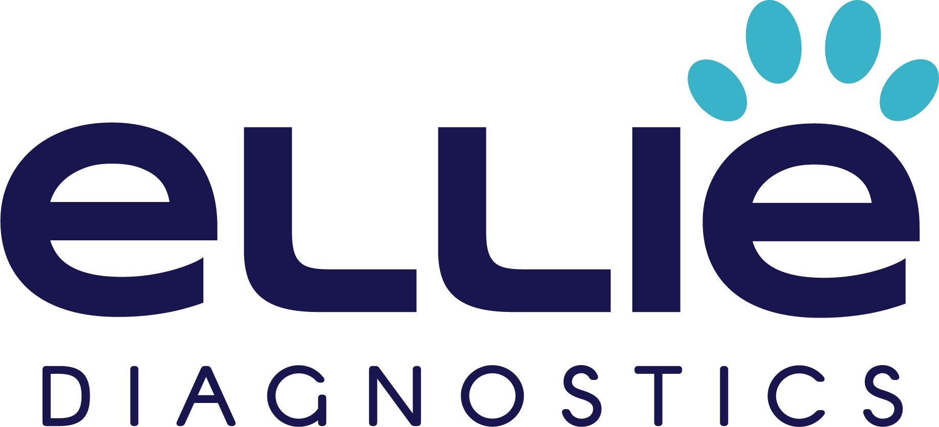 Comprehensive Diagnostics Test Menu